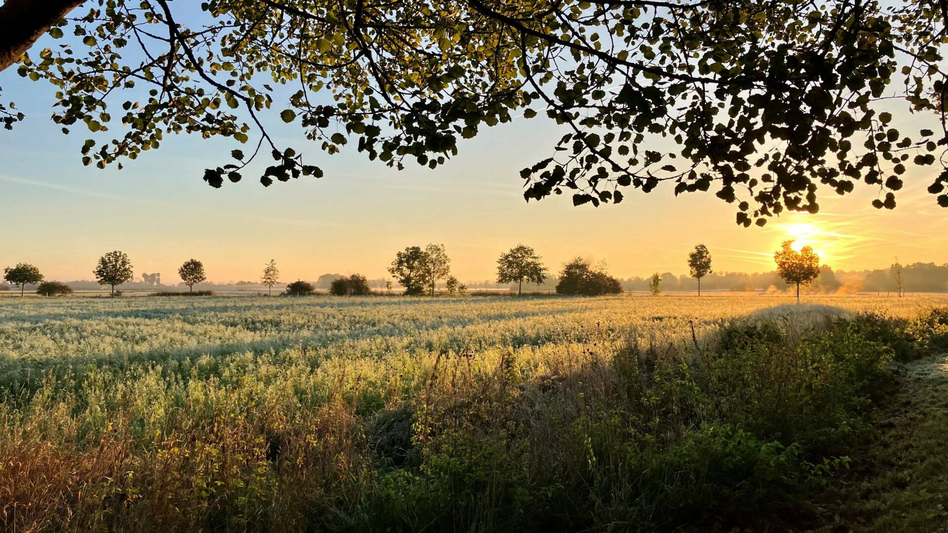 Impressum - Servicelinks - Stadt Olching